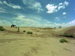 EL TOPO – The Other Cinema