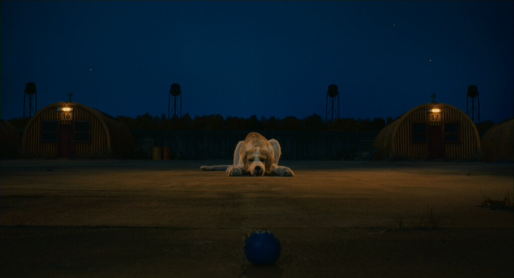 FANTASTIC MR. FOX – The Other Cinema