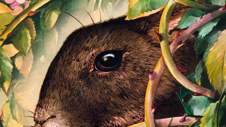 WATERSHIP DOWN – The Other Cinema