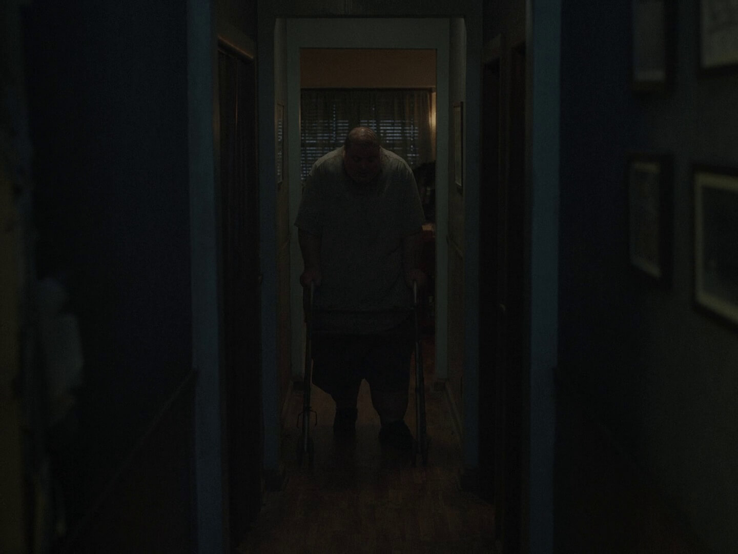 THE WHALE – The Other Cinema